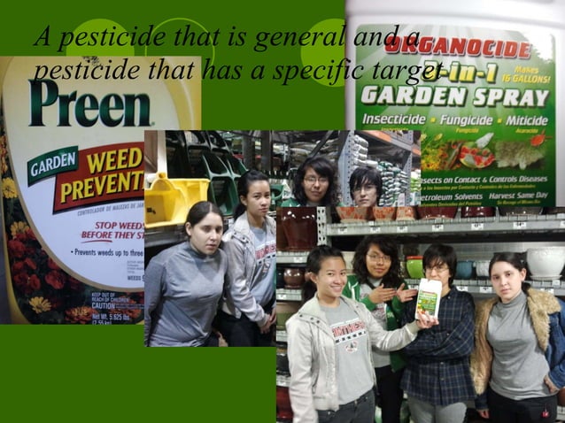 APES Scavenger Hunts PPT | PPT