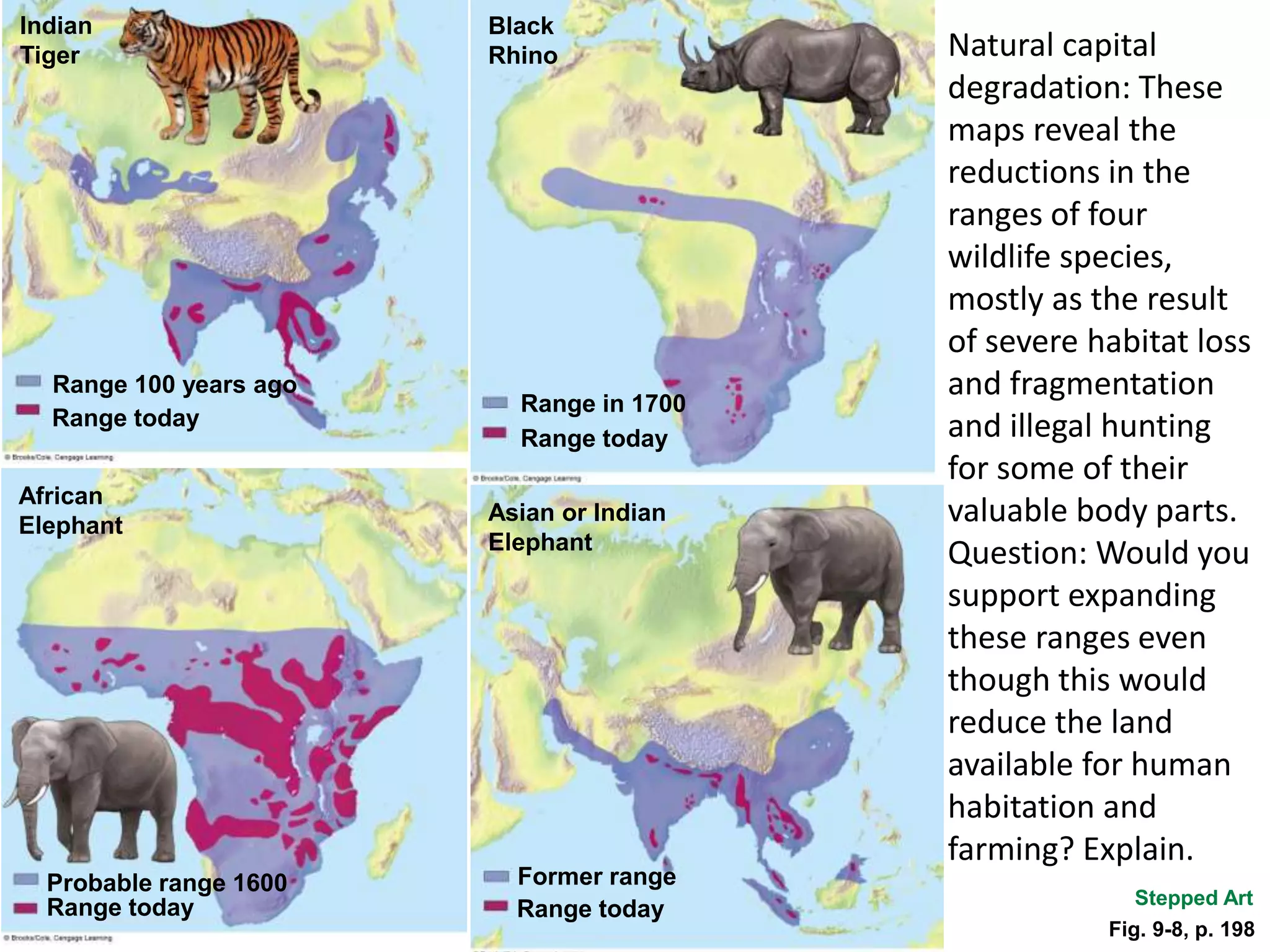 APES chp 9 sustaing biodiversity.pptx