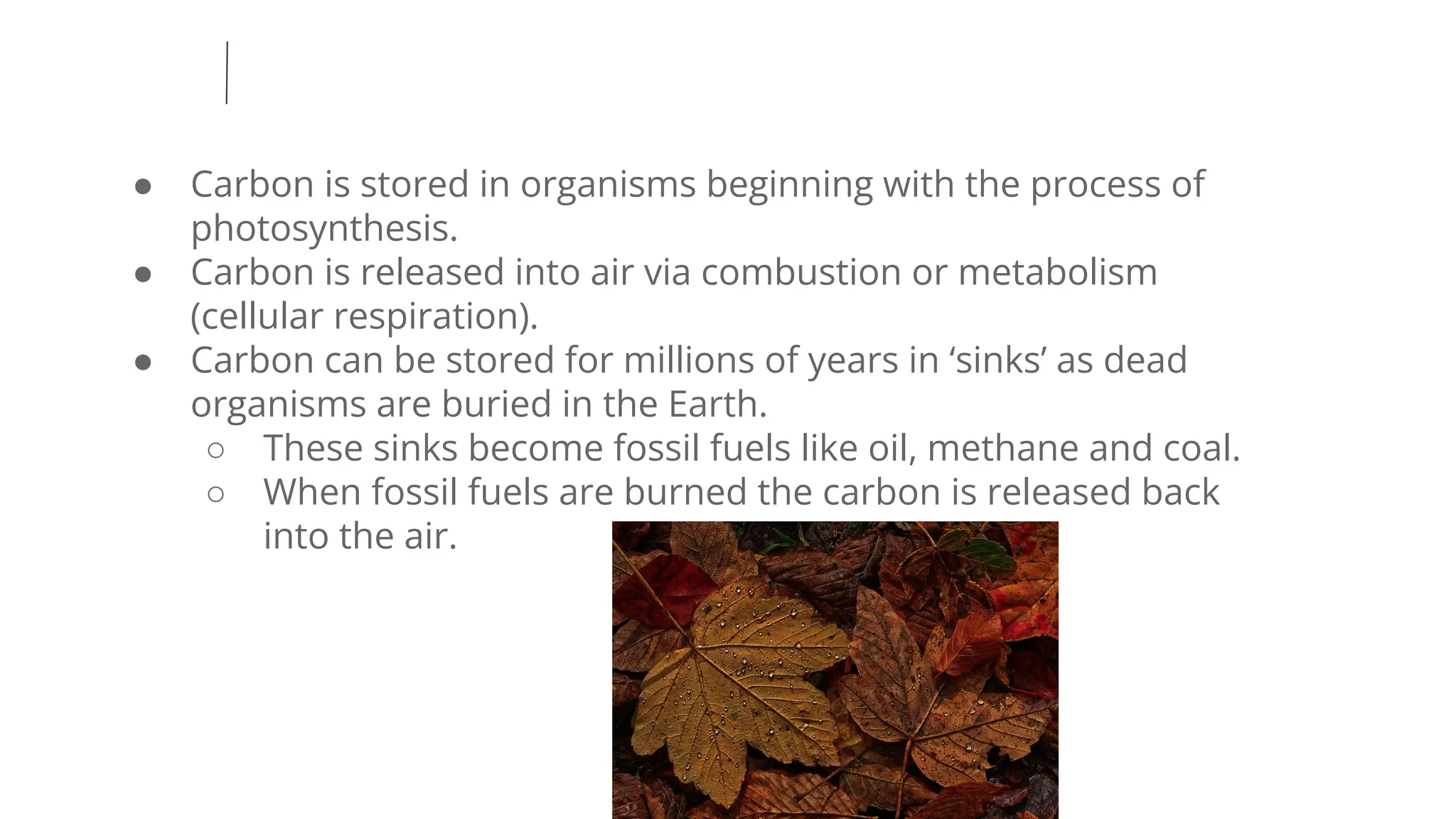 AP Environmental Science Quick Review Unit 1.pdf