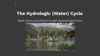 AP Environmental Science Quick Review Unit 1.pdf