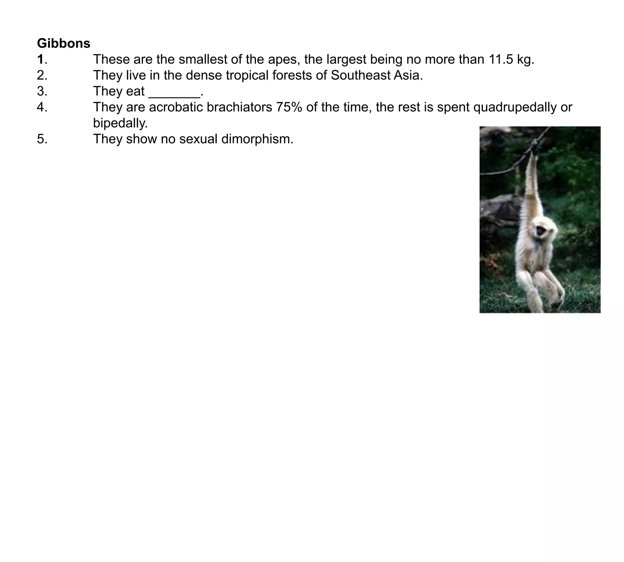 Apes Vs Humans & Skeletal Differences | PPTX