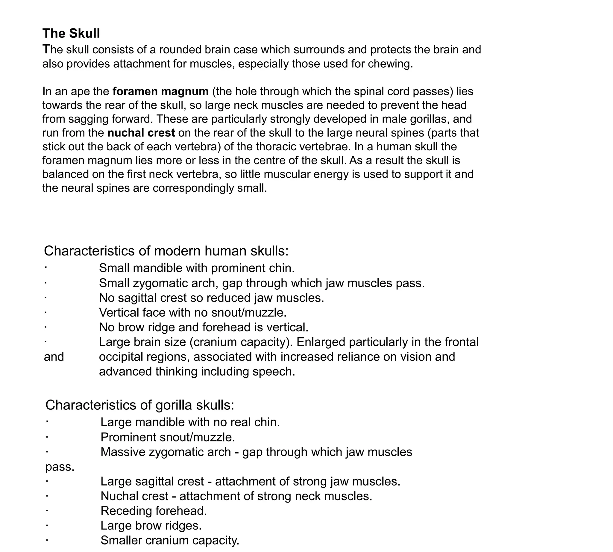 Apes Vs Humans & Skeletal Differences | PPTX