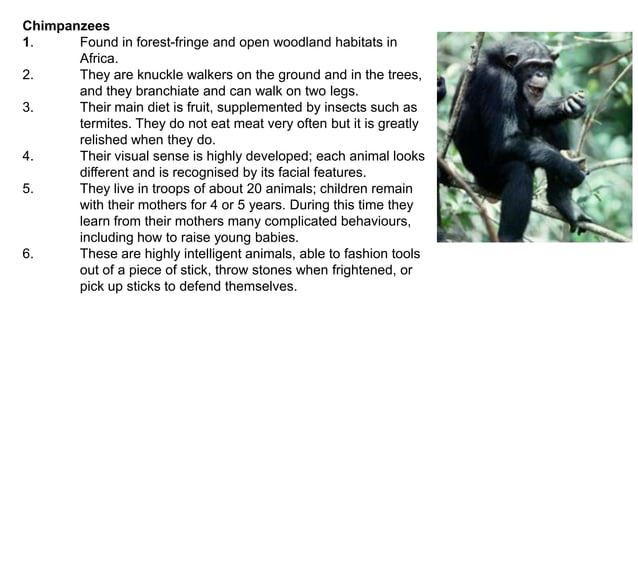 Apes Vs Humans & Skeletal Differences | PPTX | Dental Health | Diseases ...