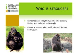 Ape to man | PPT