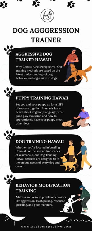Dog Aggression Training by A Pet Perspective | PDF