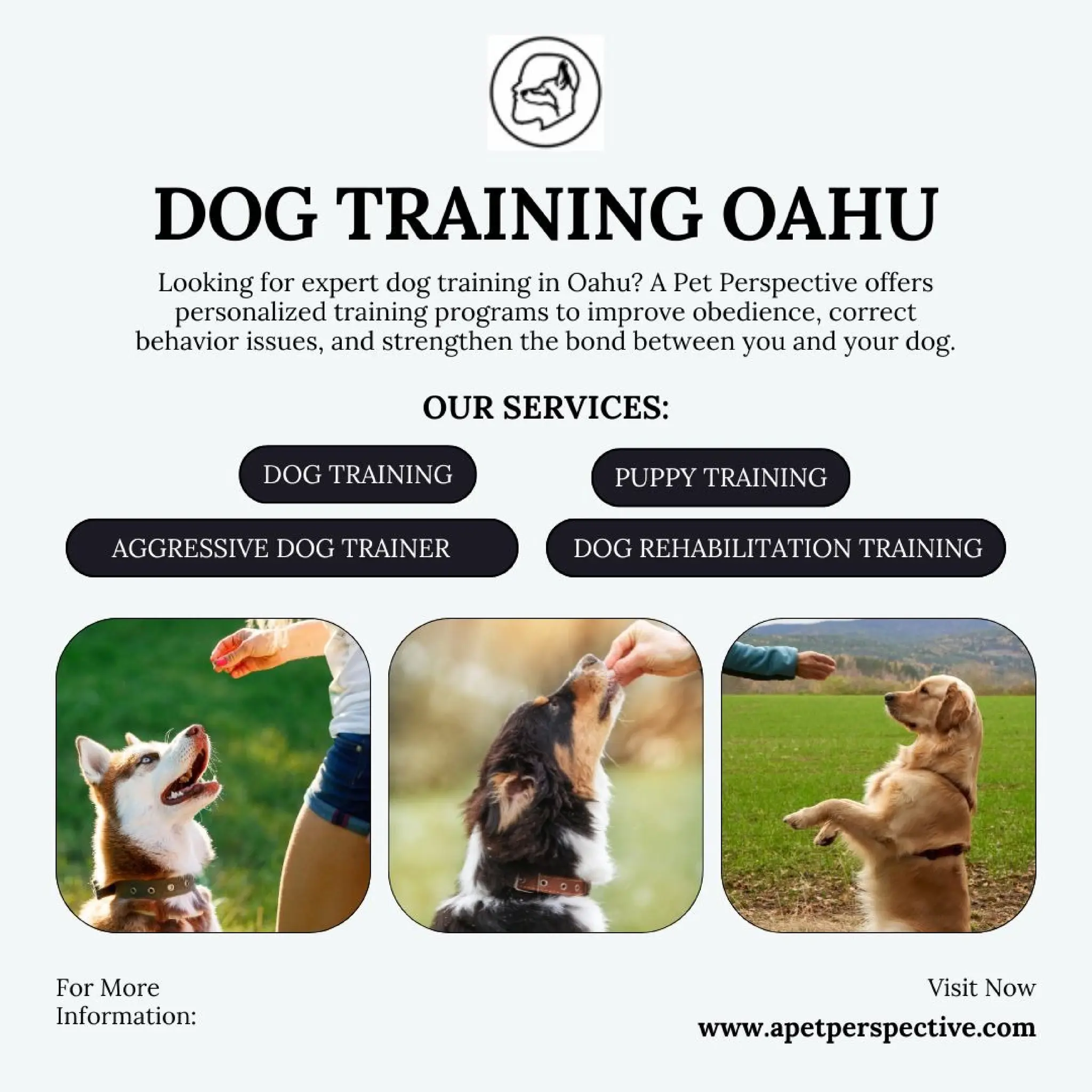 Dog Training Oahu ! A Pet Perspective | PDF