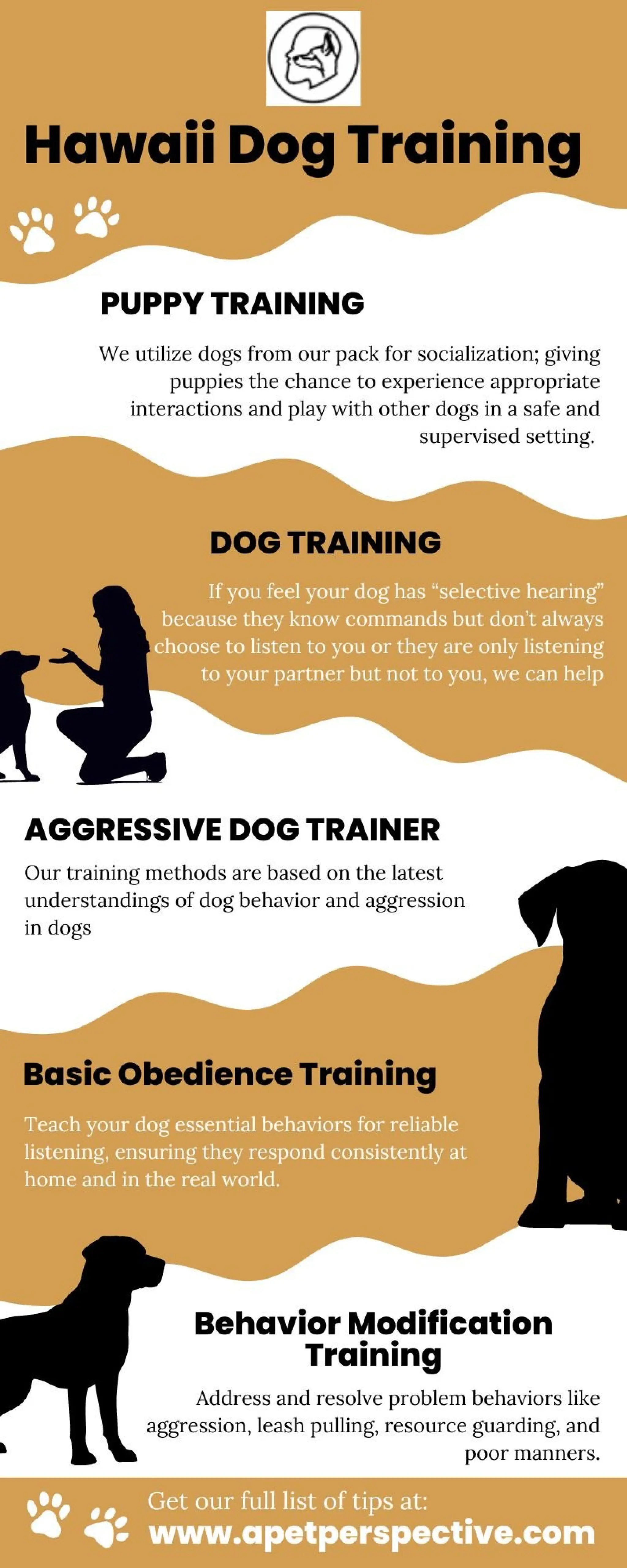 Hawaii Dog Training ! A Pet Perspective | PDF