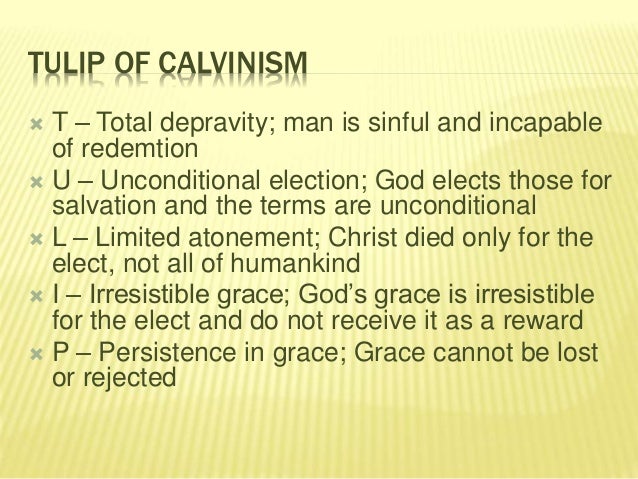 AP Euro CH 14 John Calvin