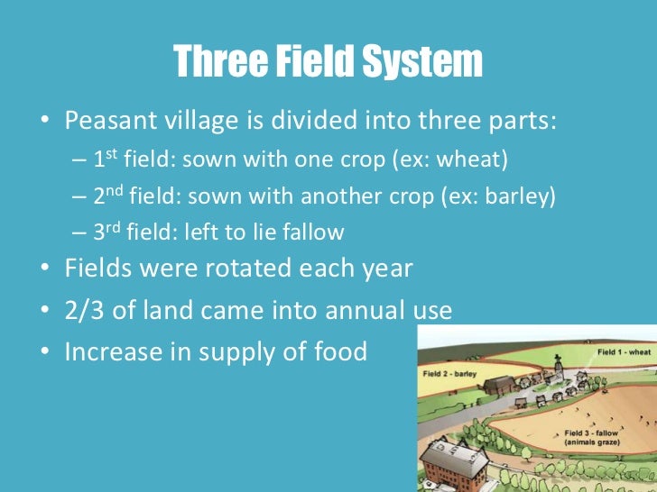 Three Field System Diagram