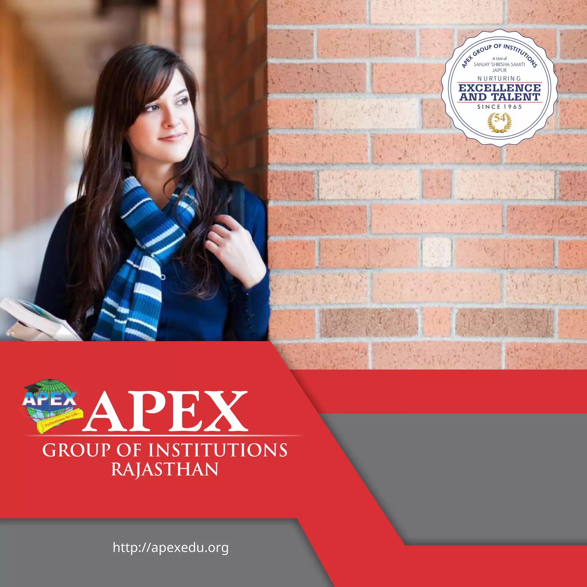 Apex Group of Institutions | PDF