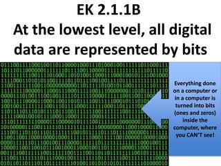 Ap exam big idea 2 abstraction | PPTX