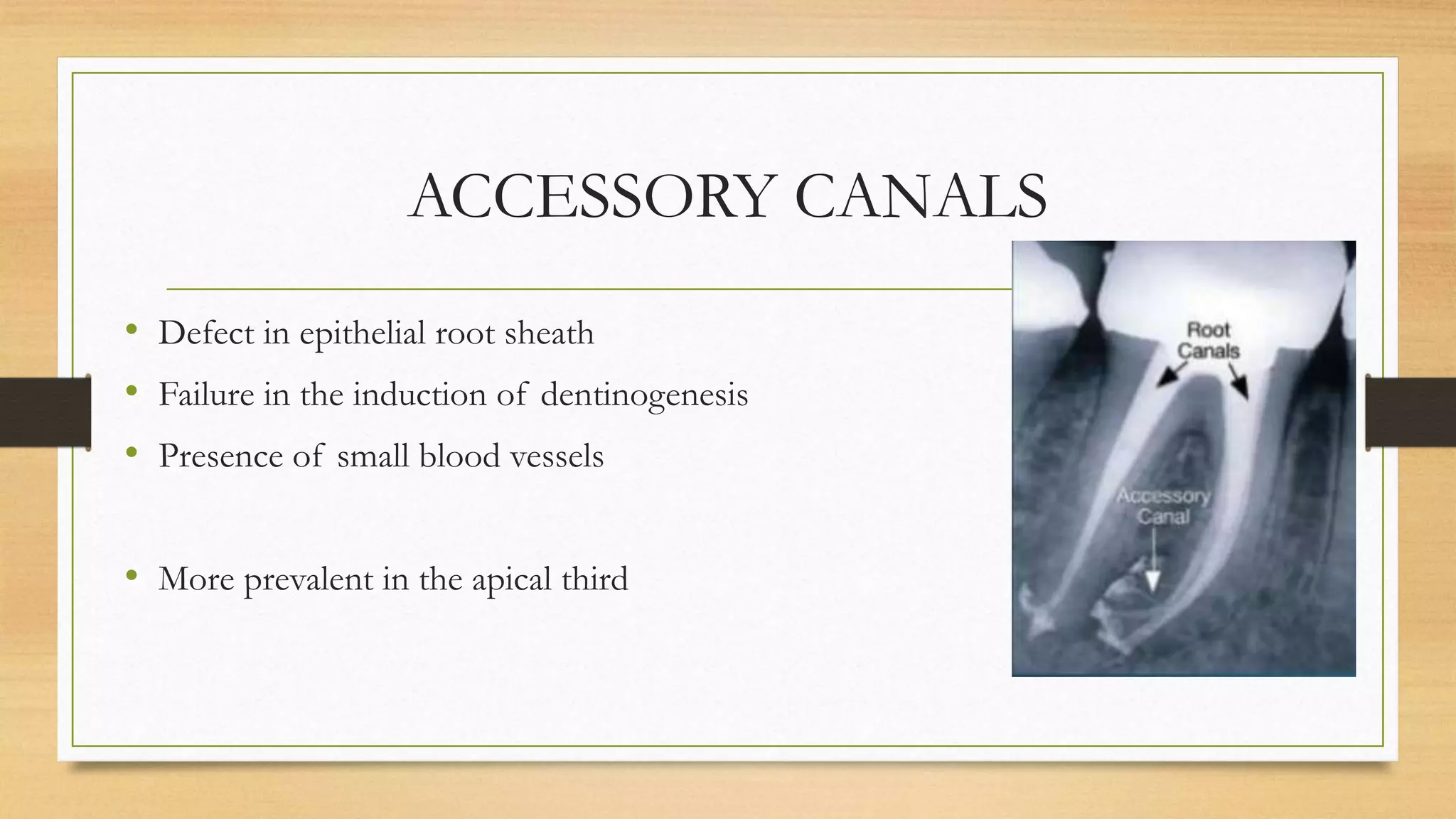 Apex and its significance in endodontics | PPTX