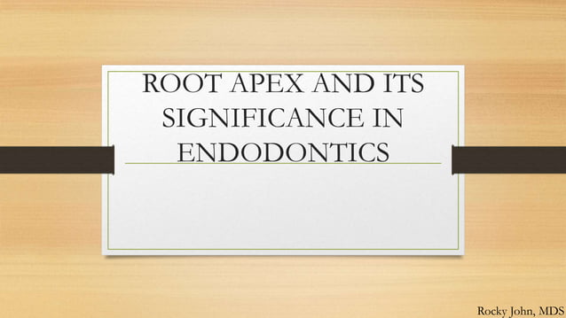 Apex and its significance in endodontics | PPTX | Dental Health ...