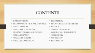 Apex and its significance in endodontics | PPTX