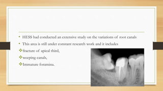 Apex and its significance in endodontics | PPTX