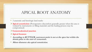 Apex and its significance in endodontics | PPTX