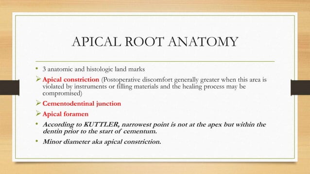 Apex and its significance in endodontics | PPTX | Dental Health ...