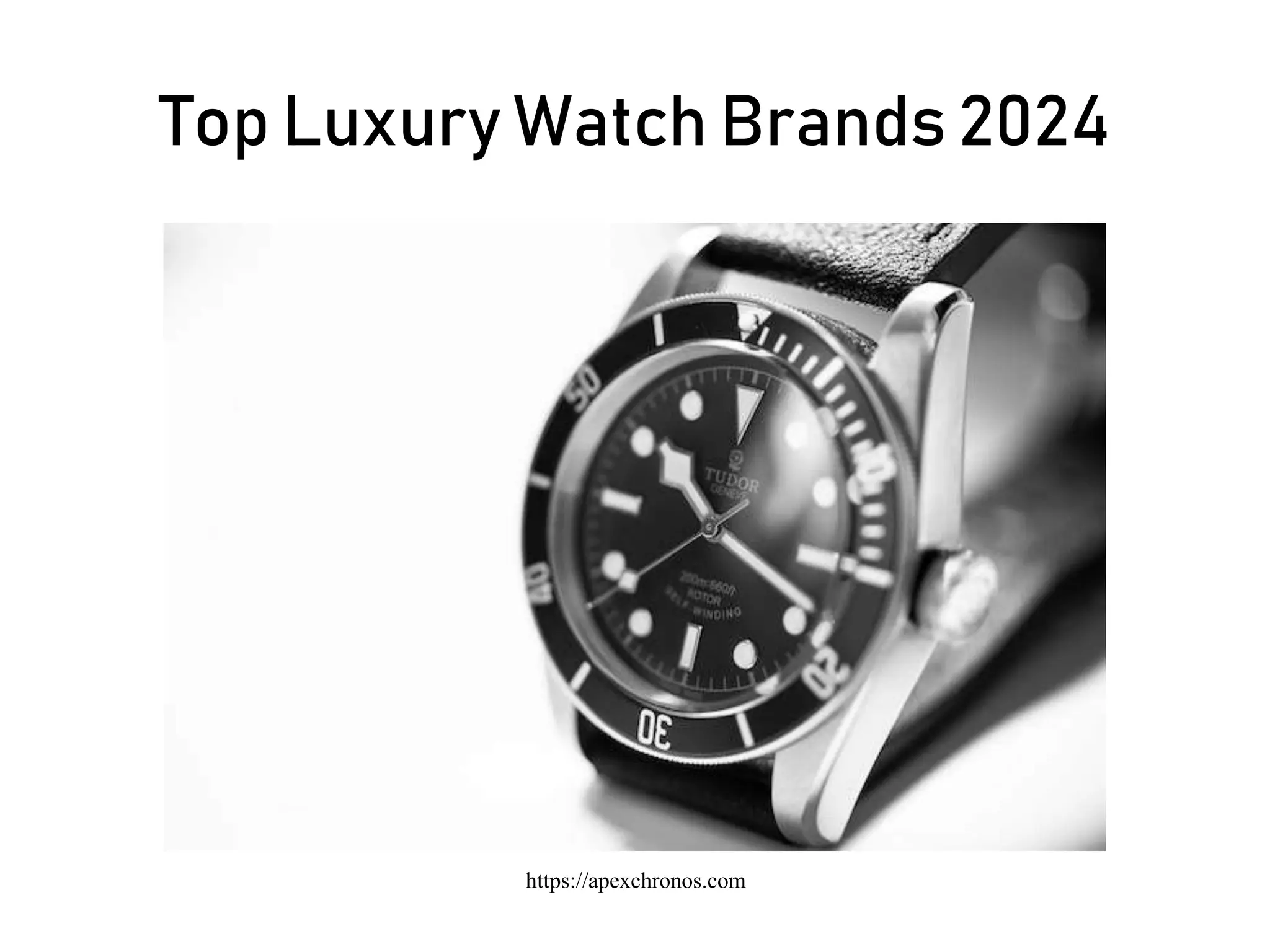 Apex Chronos Top Luxury Watch Brands 2024.ppt