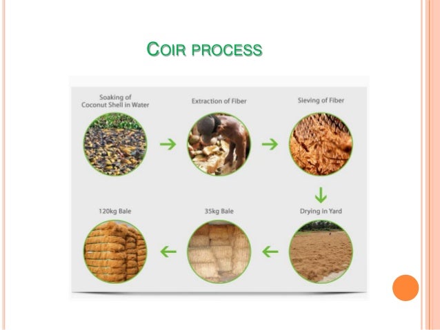 Coir Fiber: Properties, Production Process And Advantages – QIZR