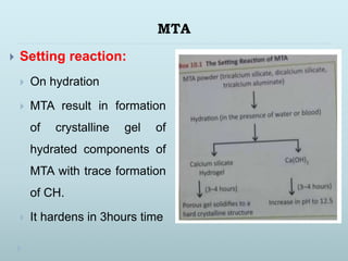 Apexification | PPTX