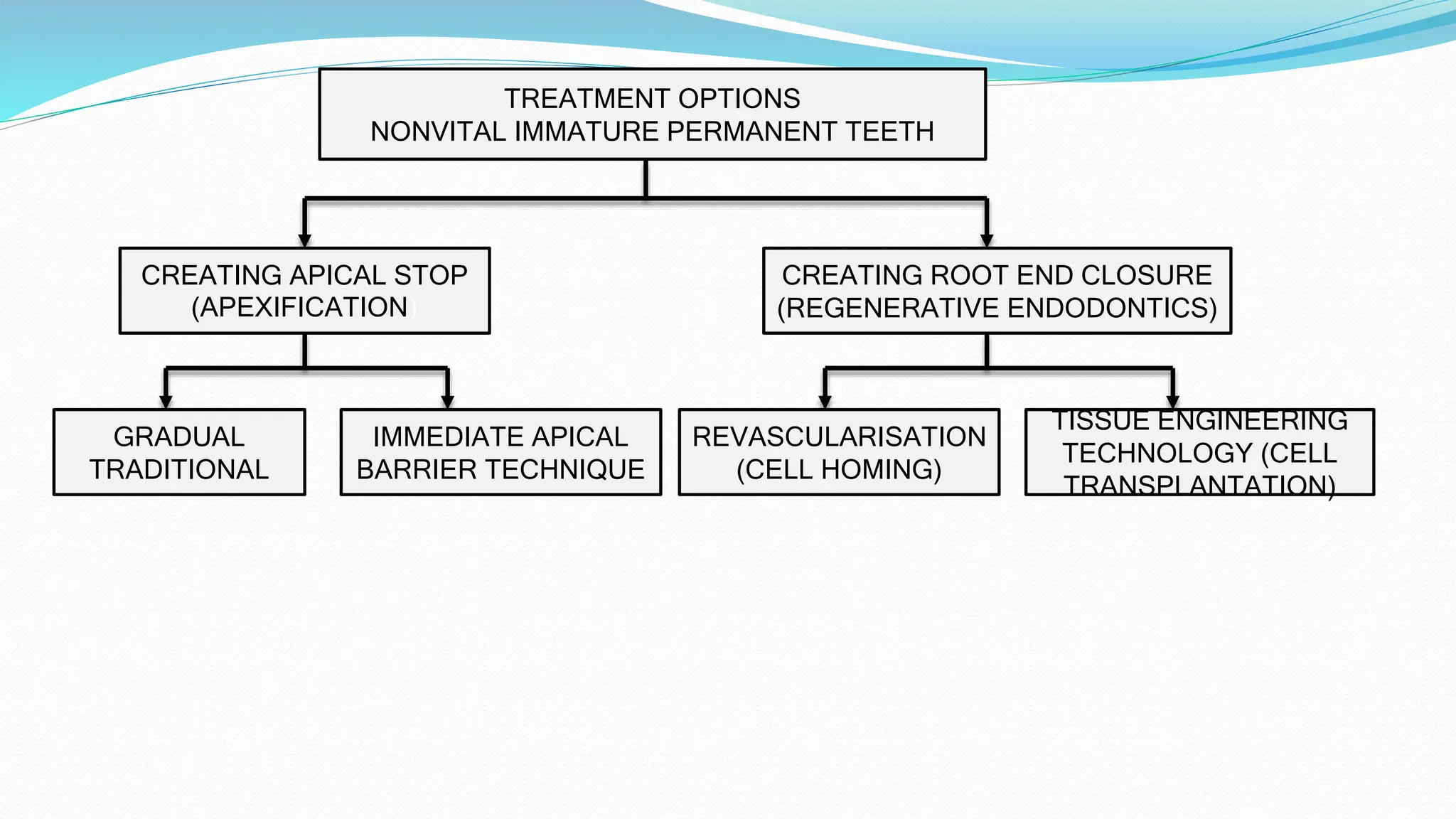 Apexification in endodontics PowerPoint presentation | PPTX