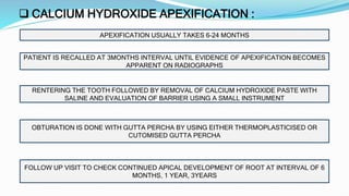 Apexification in endodontics PowerPoint presentation | PPTX