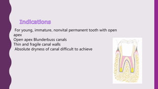 Apexogenesis and apexification | PPTX