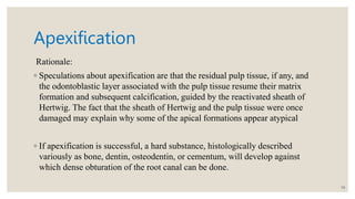 Apexogenesis and apexification.pptx endodontics final year | PPTX