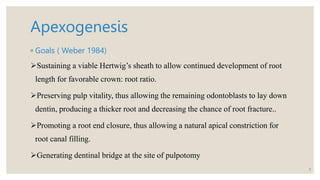 Apexogenesis and apexification.pptx endodontics final year | PPTX