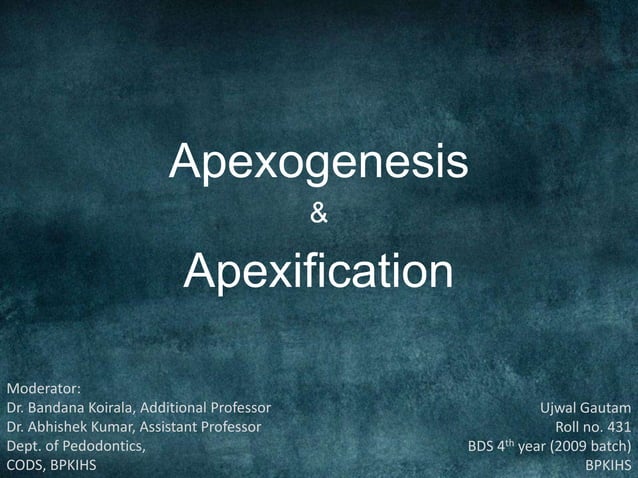 Apexogenesis & apexification | PPTX | Dental Health | Diseases and ...