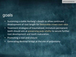 Apexogenesis & apexification | PPTX