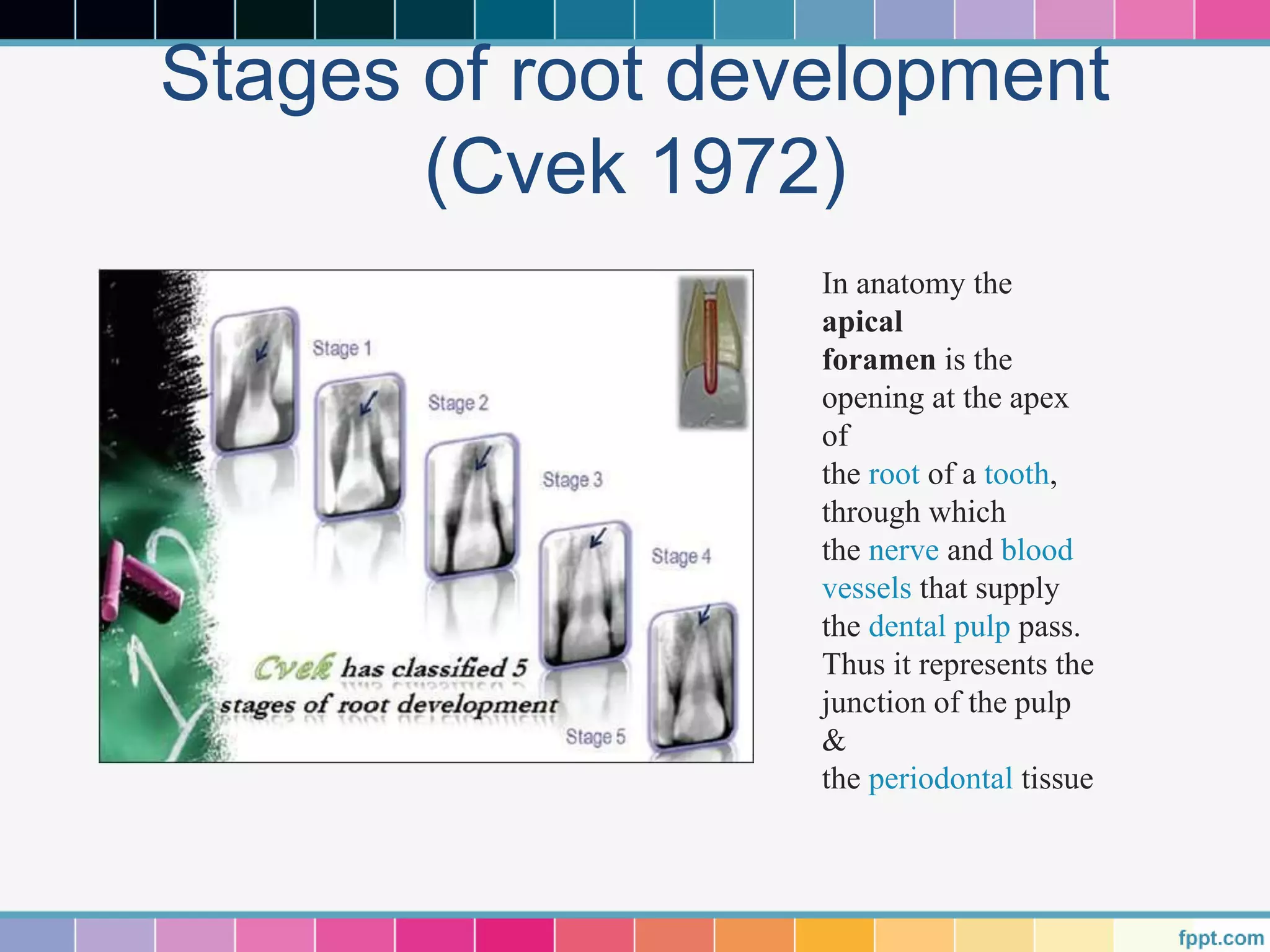 Apexogenesis & apexification | PPTX