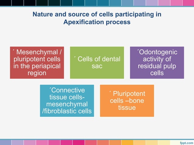 Apexogenesis & apexification | PPTX | Dental Health | Diseases and ...