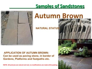 Apex stone group | PPS