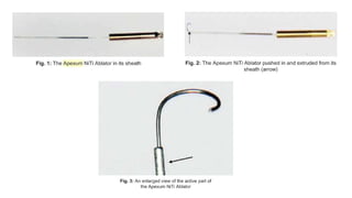 Apexum procedure in endodontics.pptx babe | PPTX