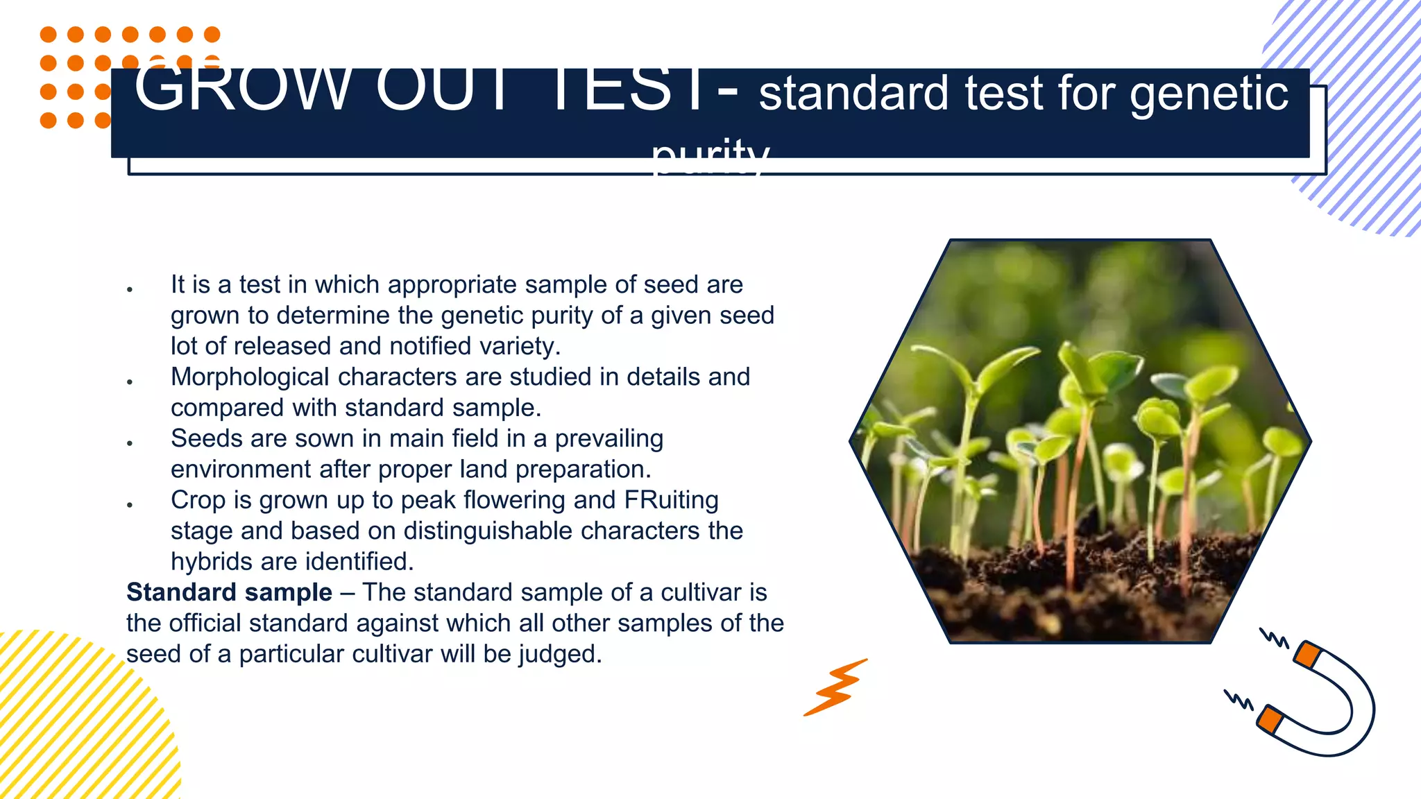 Genetic purity & DUS test , PPV&FRA | PPTX