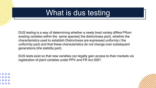 Genetic purity & DUS test , PPV&FRA | PPTX