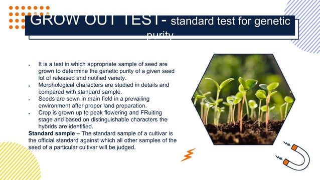 Genetic purity & DUS test , PPV&FRA | PPTX | Chemistry | Science