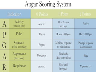 APGAR SCORING | PPTX