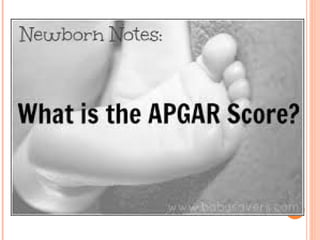 Apgar score | PPT