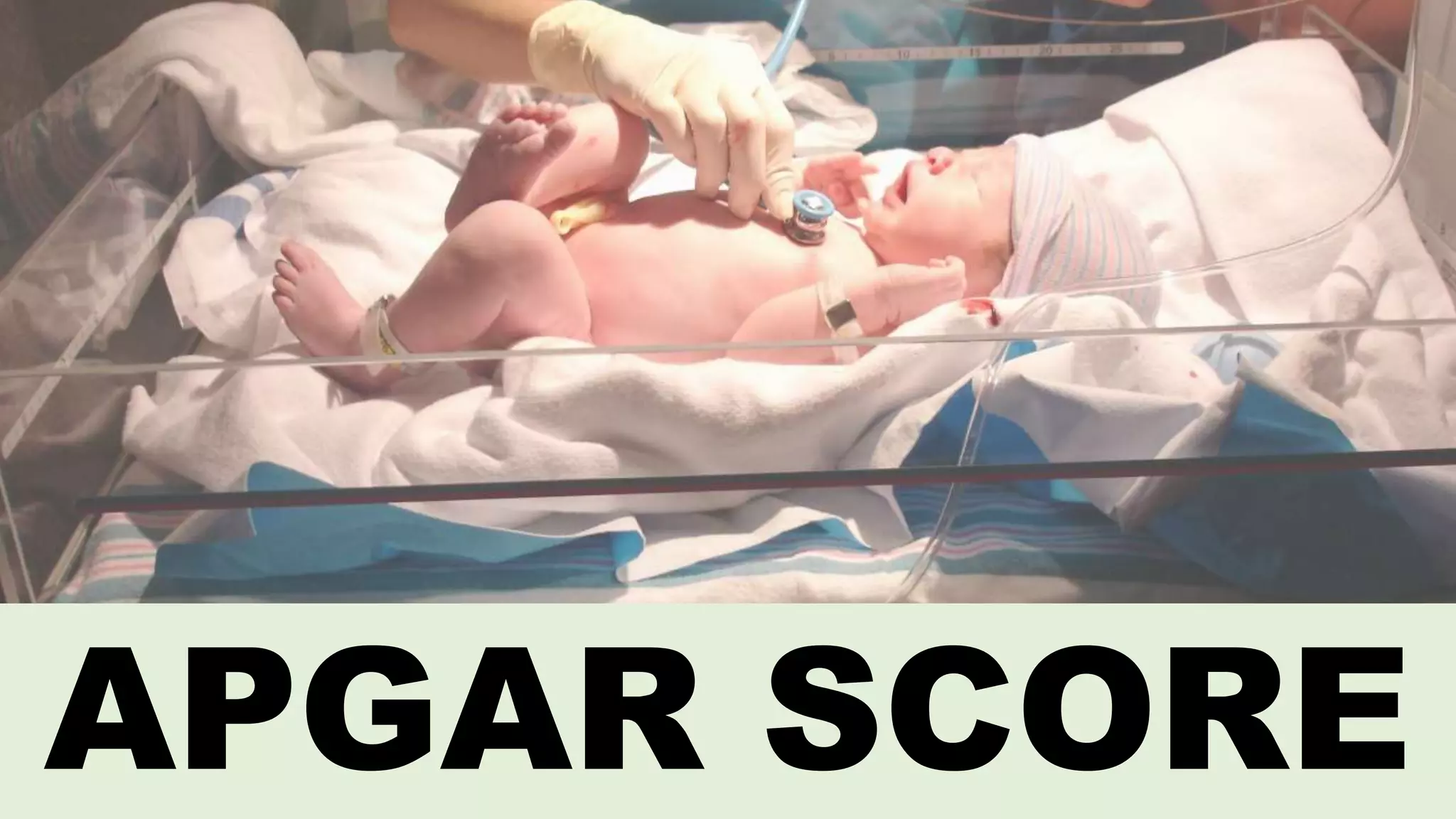 Apgar score |newborn assessment | PPTX