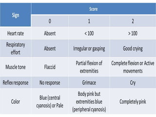 Apgar Score Pdf