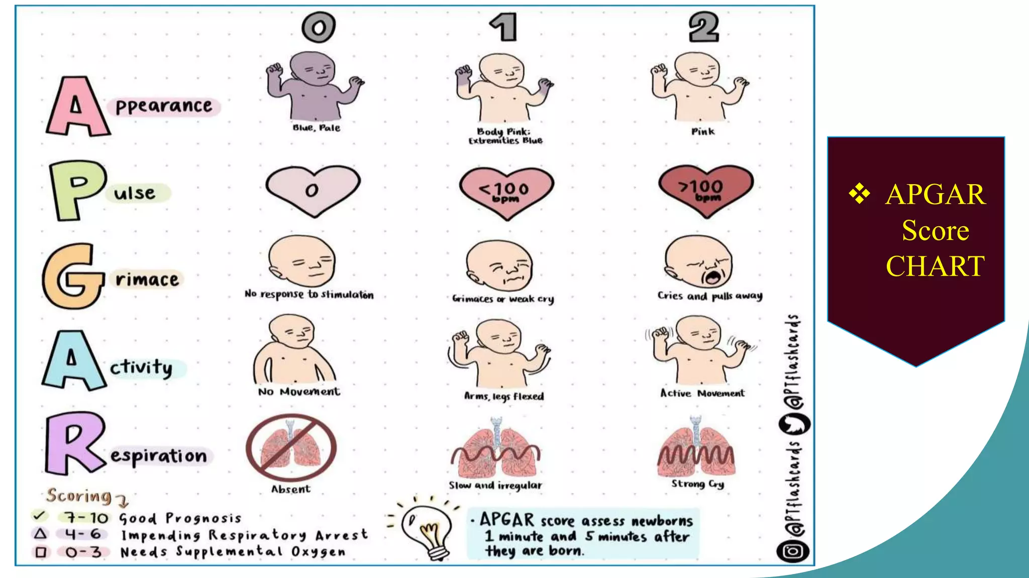 Apgar Score.pptx