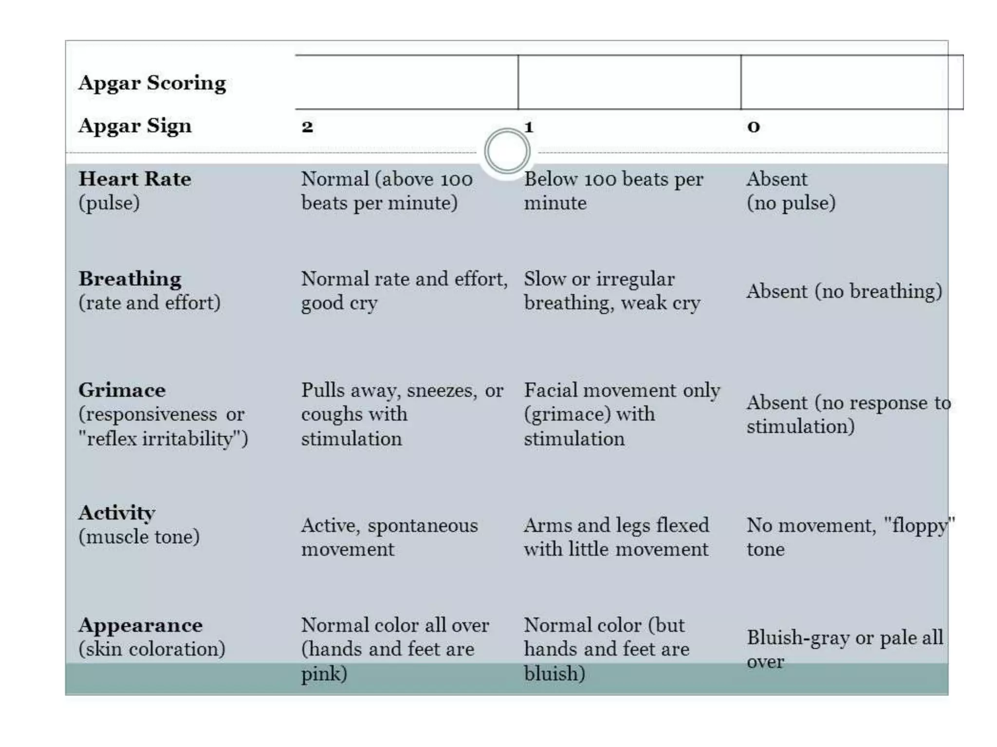 Apgar score care of newborn ppt | PPTX