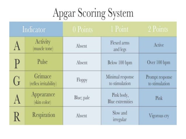 Apgar score care of newborn ppt