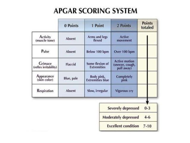 Apgar Scoring System_Slide