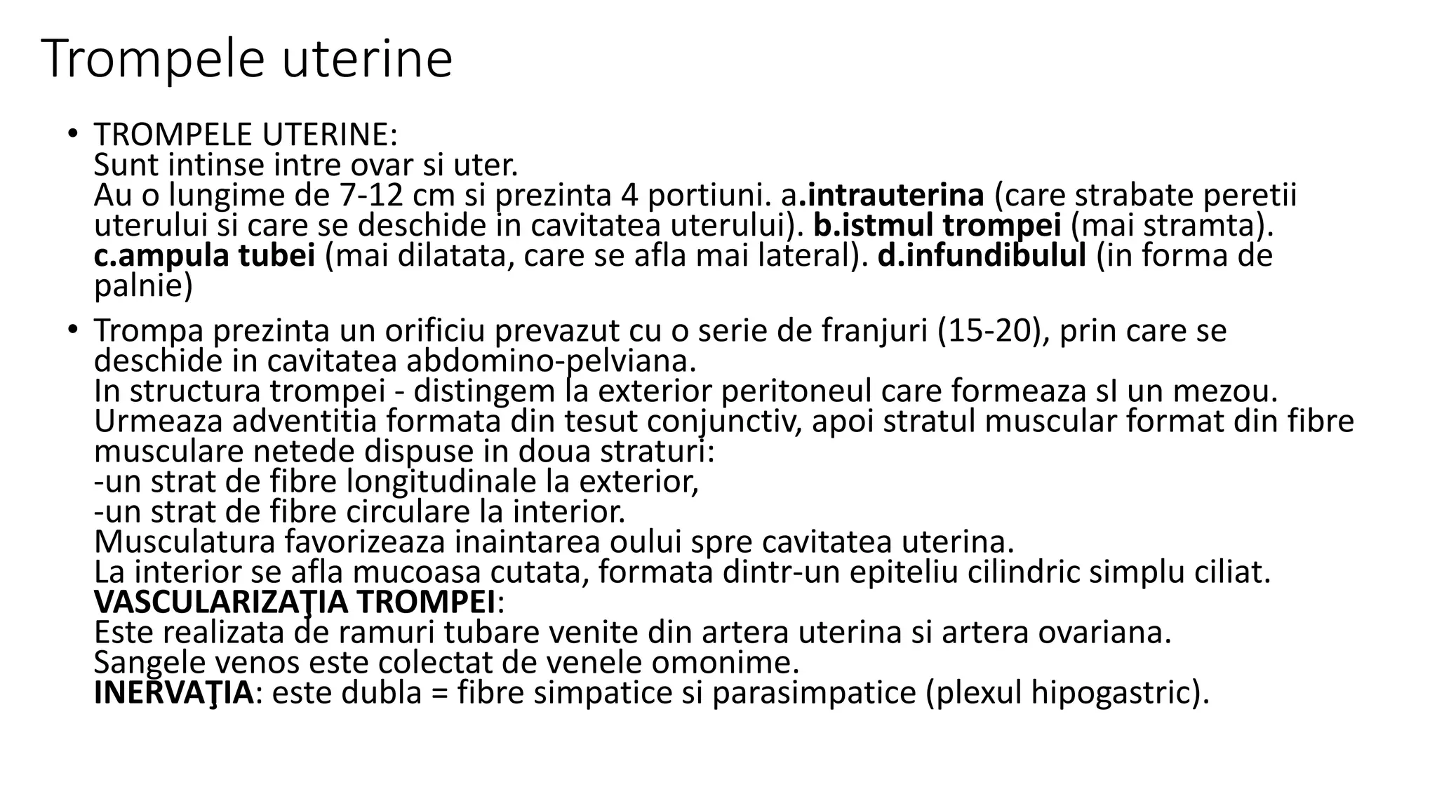 Ap genital fem anato i | PPTX