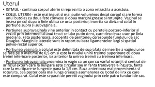 Ap genital fem anato i | PPTX