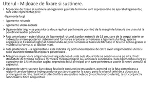 Ap genital fem anato i | PPTX