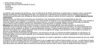 Ap genital fem anato i | PPTX